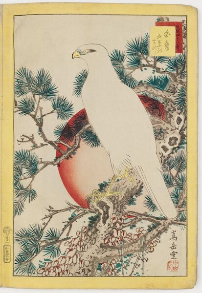 The History & Art of Hanafuda · Ways To Play